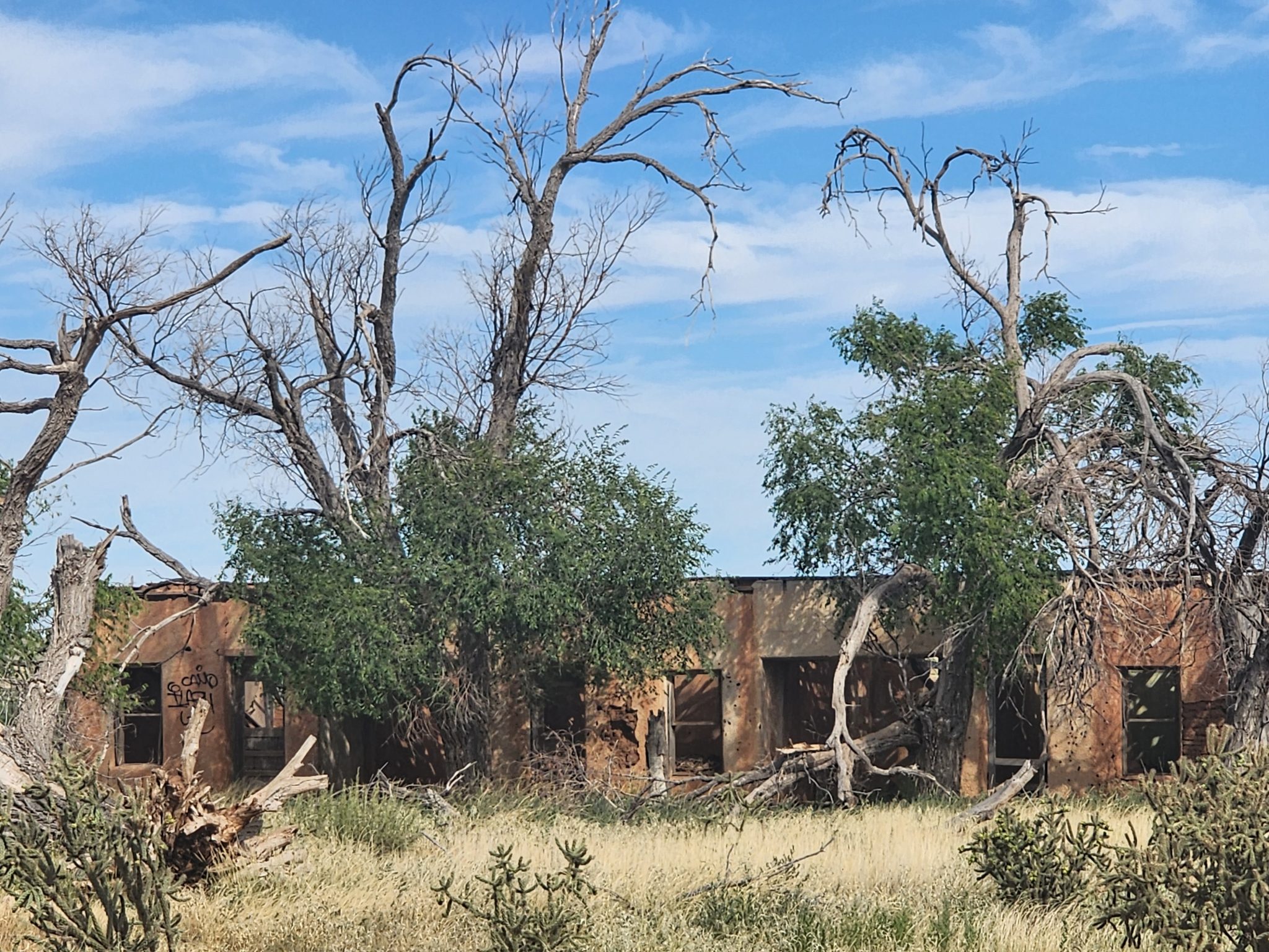 New Mexico - Route 66 Road Relics