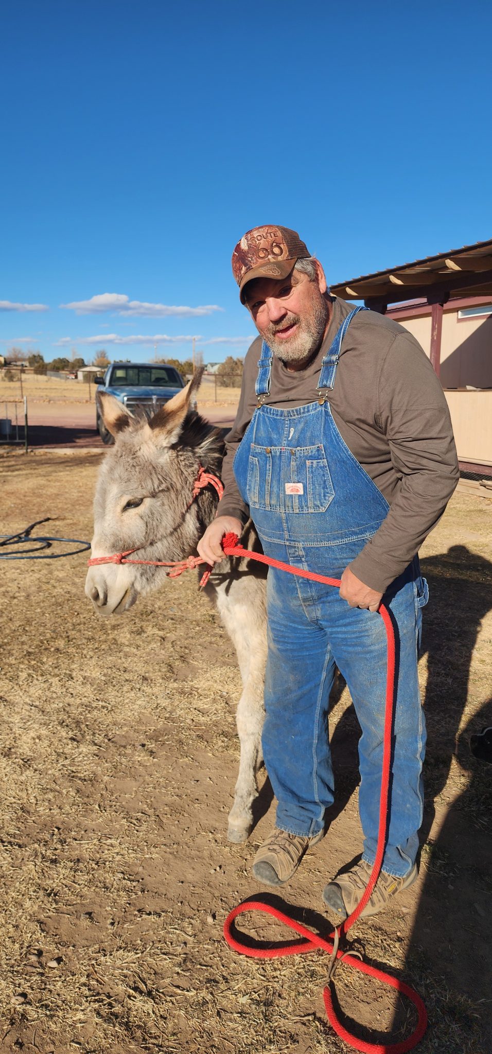 Oatman, Arizona Where The Wild Burros Roam - Route 66 Road Relics